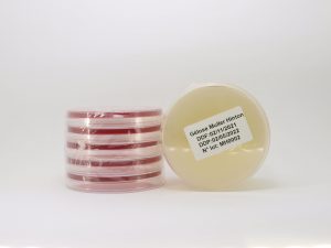 Gélose Salmonella-Shigella (SS) en Boite de Pétri de 90 mm ( 5 unités)