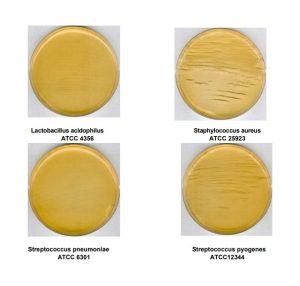 Gélose de cerveau et de cœur 500g MERCK - La Boutique en ligne